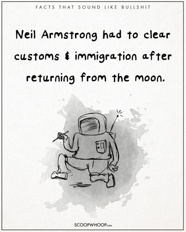 22 Absurd Facts That Are Actually Completely True | DeMilked