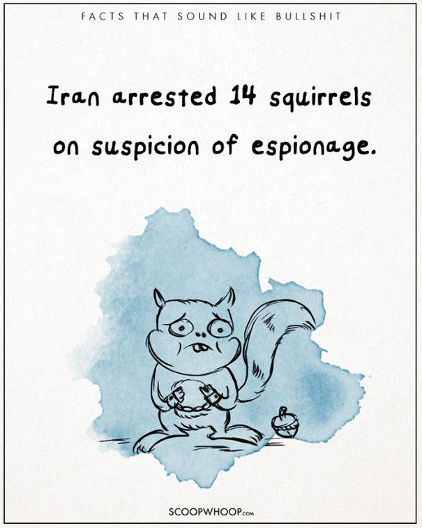 22 Absurd Facts That Are Actually Completely True | DeMilked