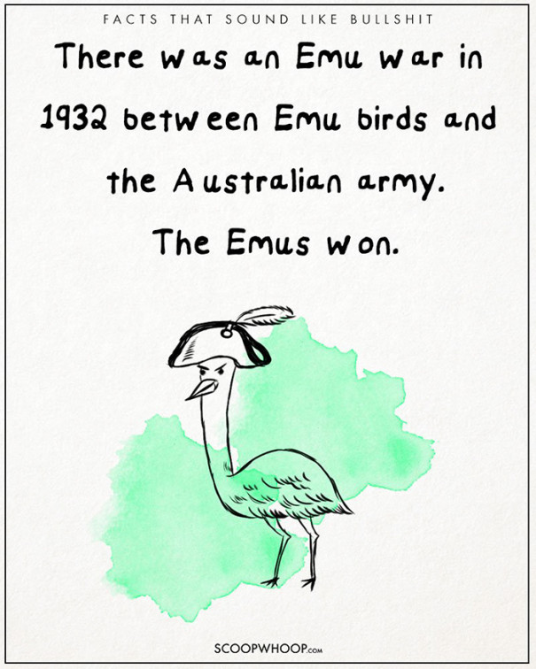 22 Absurd Facts That Are Actually Completely True | DeMilked