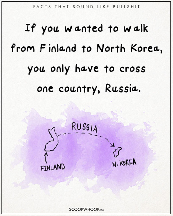 22 Absurd Facts That Are Actually Completely True | DeMilked