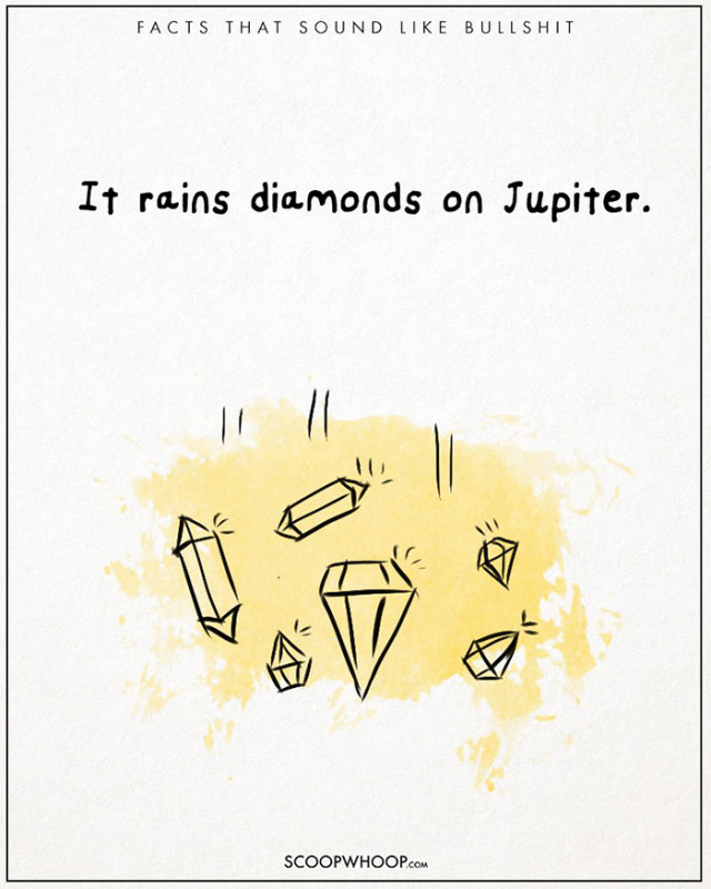 22 Absurd Facts That Are Actually Completely True | DeMilked