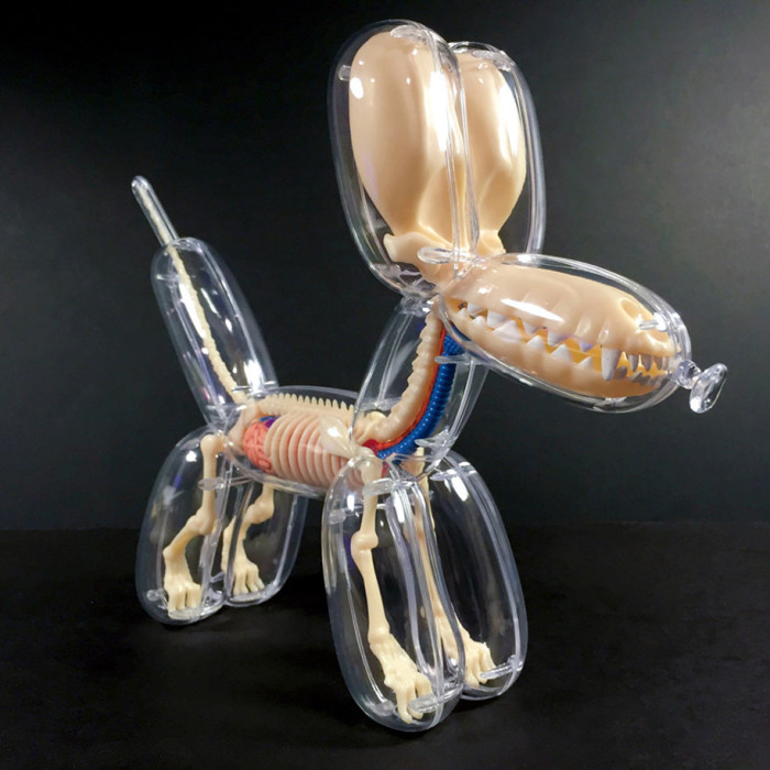 Anatomically Correct Animal Balloons By Jason Freeny | DeMilked