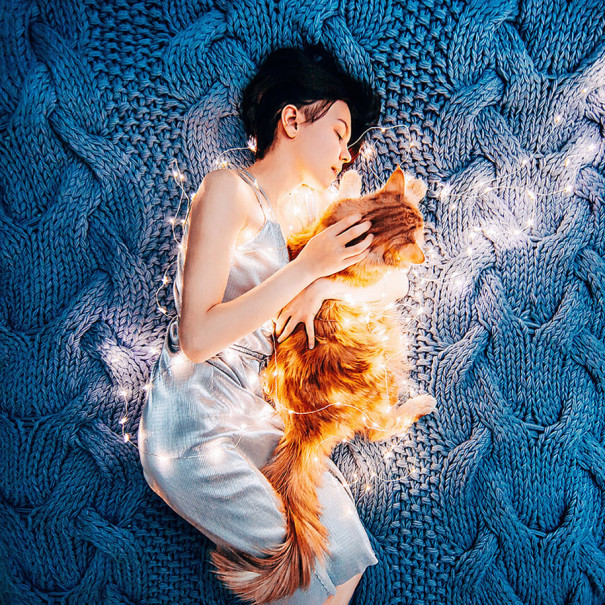 Cutlet The Cat Poses For His Personal Human Photographer | DeMilked