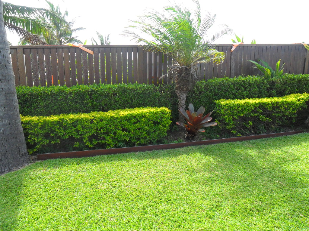 Five of the best hedging plans | DeMilked