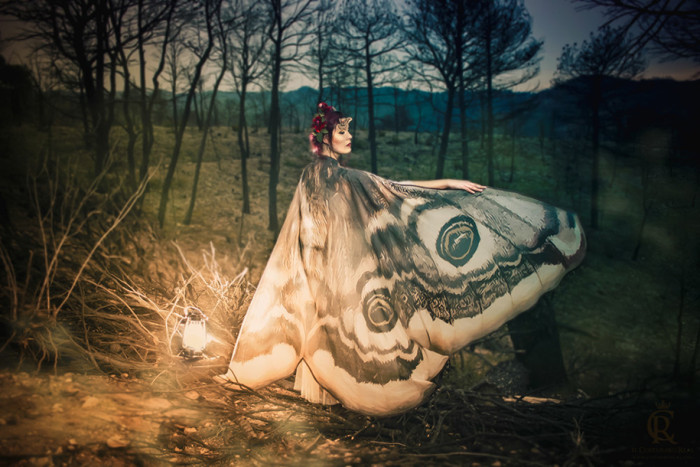 Realistic Hand-Crafted Butterfly Wing Scarves By Alassie | DeMilked