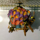 These Wasps Use Colored Paper To Make Rainbow Nests | DeMilked