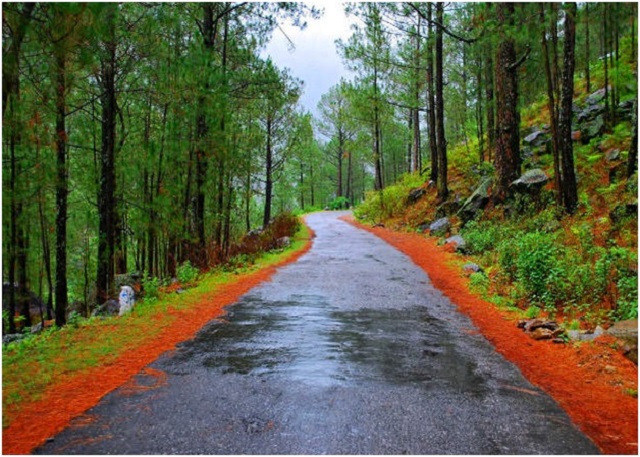 Anything and everything you want to know about your trip to Ranikhet ...