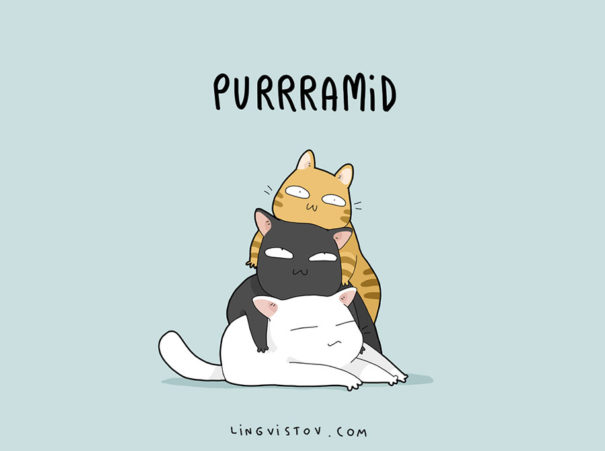 8 Adorable Puns Only Cat Owners Will Recognize | DeMilked