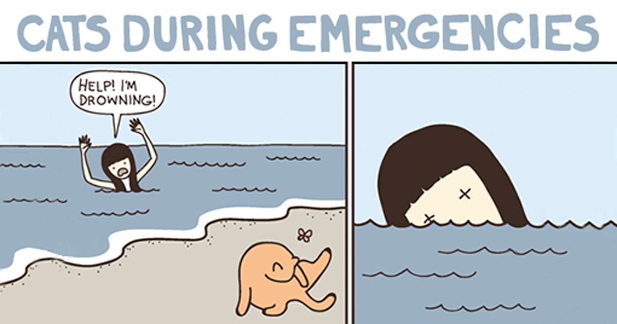 15 Hilarious Illustrations That All Cat Owners Can Relate To | DeMilked