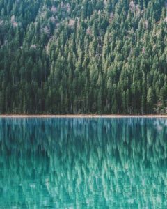 This 16-Year-Old's Instagram Will Make You Go Travel | DeMilked