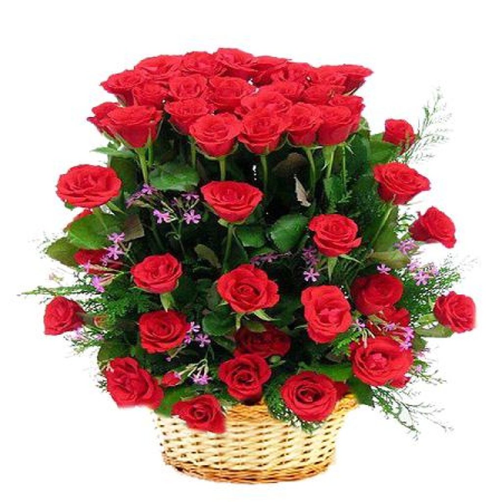 Phool Wala, Author at DeMilked