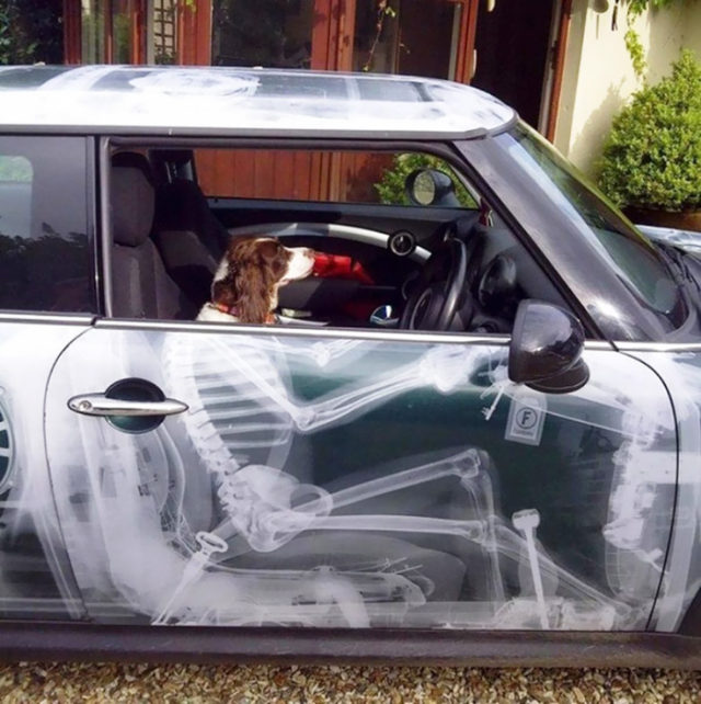15 Most Creative Car Owners Express Love For Their Cars | DeMilked