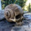 This Custom Human Skull Art Is The Perfect Mix Between Creepy And ...