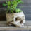 This Custom Human Skull Art Is The Perfect Mix Between Creepy And ...