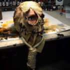 This Custom Human Skull Art Is The Perfect Mix Between Creepy And ...