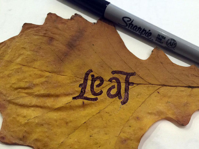 How To Create Your Own Ambigram, A Word Readable From Any Perspective ...