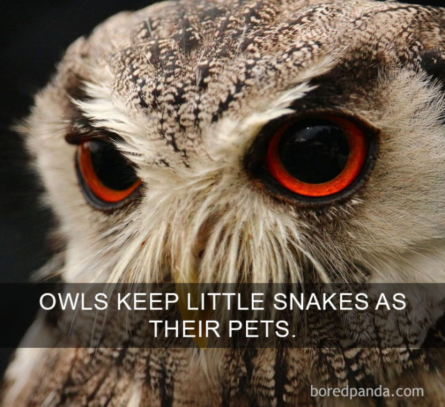 10 Amazing Facts That Will Blow Your Mind | DeMilked