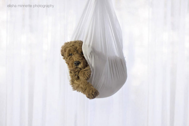 Tired Of Being Asked When Will They Have A Baby, This Couple Did This ...