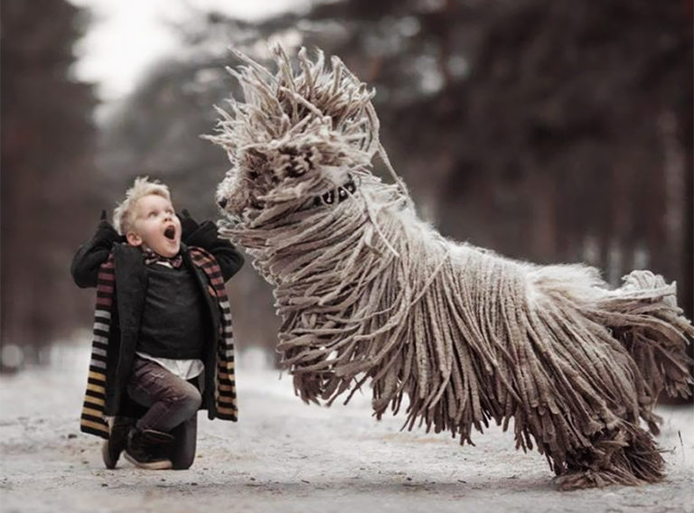 This Giant 'Mop' Dog Playing With A Kid Will Make Your Day | DeMilked
