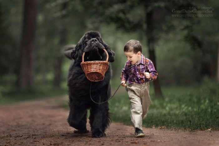 This Giant 'Mop' Dog Playing With A Kid Will Make Your Day | DeMilked