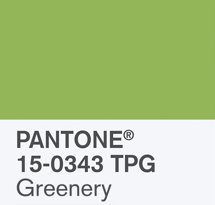 2017 Color Of The Year Is Greenery According To PANTONE | DeMilked
