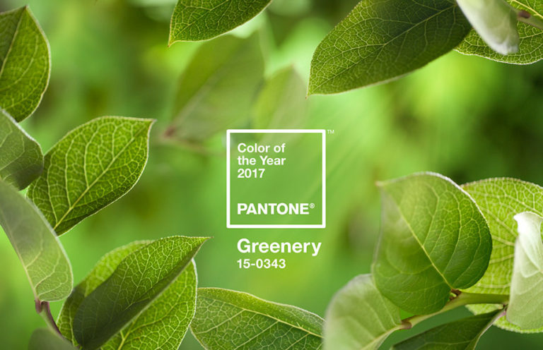 2017 Color Of The Year Is Greenery According To PANTONE | DeMilked