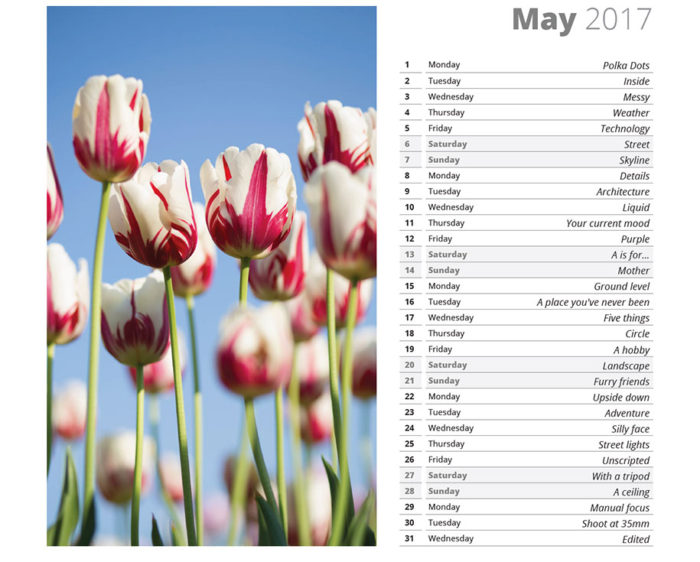 2017 Photo Challenge Calendar With 365 Photo Ideas | DeMilked