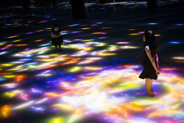 Pond Filled With Interactive Fish Changes When You Walk Through It ...