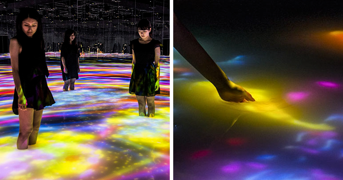 Pond Filled With Interactive Fish Changes When You Walk Through It ...