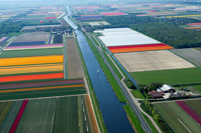 Aerial Photos Of Dutch Tulips In Bloom Look Like Earth In Pixels | DeMilked