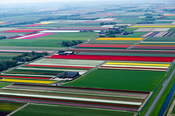 Aerial Photos Of Dutch Tulips In Bloom Look Like Earth In Pixels | DeMilked
