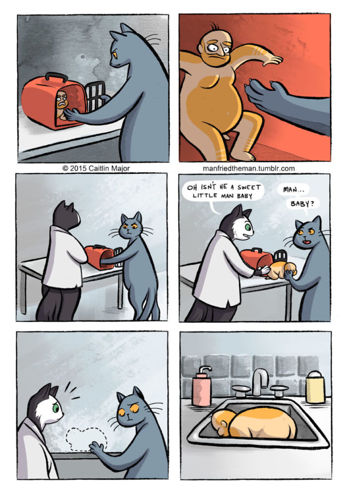 10+ Illustrations Reveal What Would Happen If Humans And Cats Switched ...