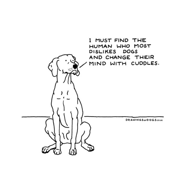 If Dogs Could Speak: Artist's Hilarious Illustrations That Helped Him ...