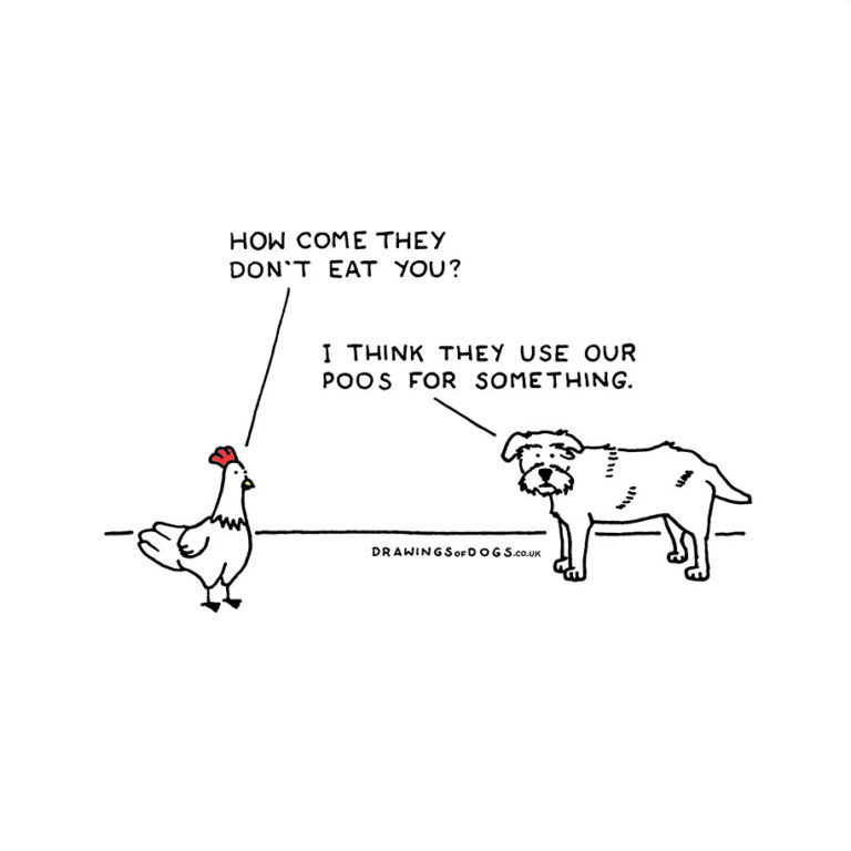 If Dogs Could Speak: Artist's Hilarious Illustrations That Helped Him ...