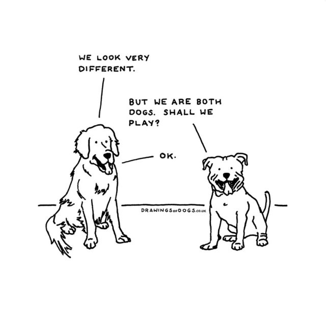 If Dogs Could Speak: Artist's Hilarious Illustrations That Helped Him ...