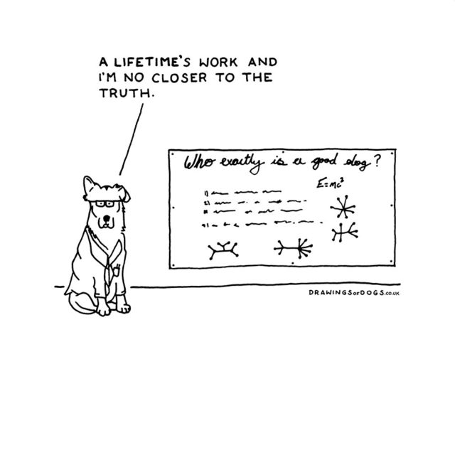 If Dogs Could Speak: Artist's Hilarious Illustrations That Helped Him ...