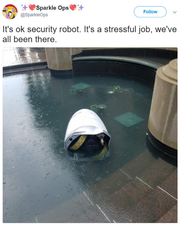Robot Security Guard Kills Itself In A Shopping Center Pond | DeMilked