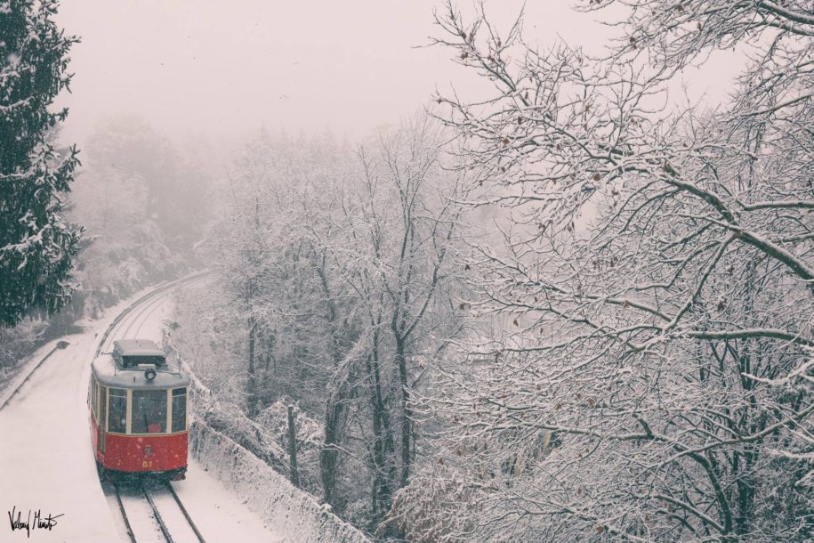 Rare Snowstorm Covers Rome With White Blanket And The Photos Are ...
