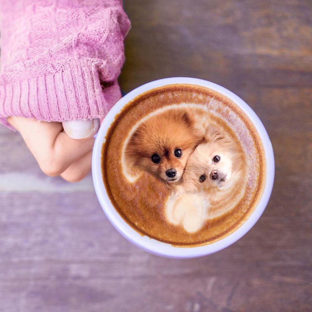 This Instagram Account Photoshops Puppies On Food And It's Deliciously ...