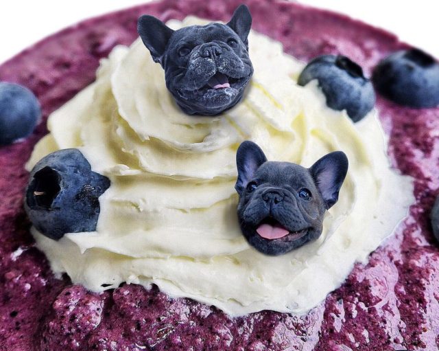 This Instagram Account Photoshops Puppies On Food And It's Deliciously ...