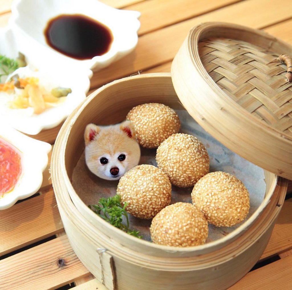 This Instagram Account Photoshops Puppies On Food And It's Deliciously ...
