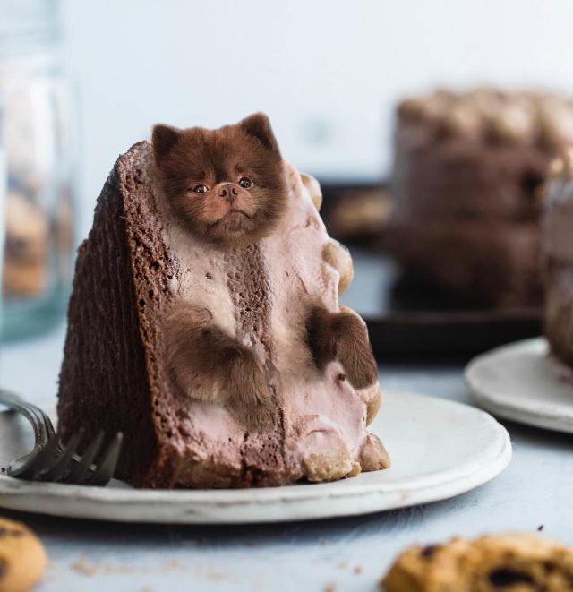 This Instagram Account Photoshops Puppies On Food And It's Deliciously ...