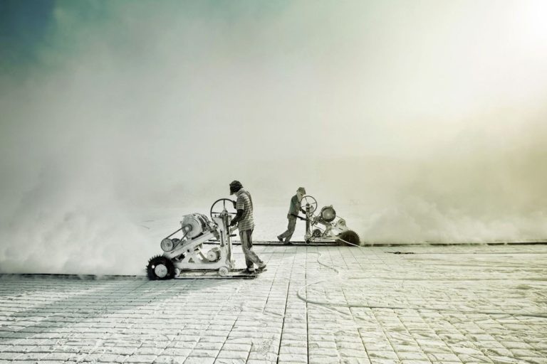 These Are The Finalists Of The Smithsonian Photo Contest, And Their ...