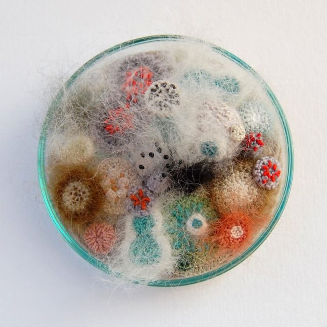 Artist Turns Mold And Bacteria Inspiration Into Unique Art Pieces Worth ...