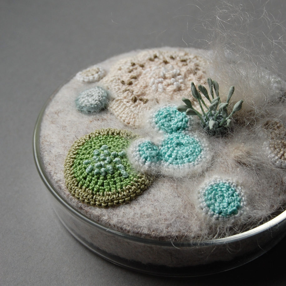 Artist Turns Mold And Bacteria Inspiration Into Unique Art Pieces Worth ...