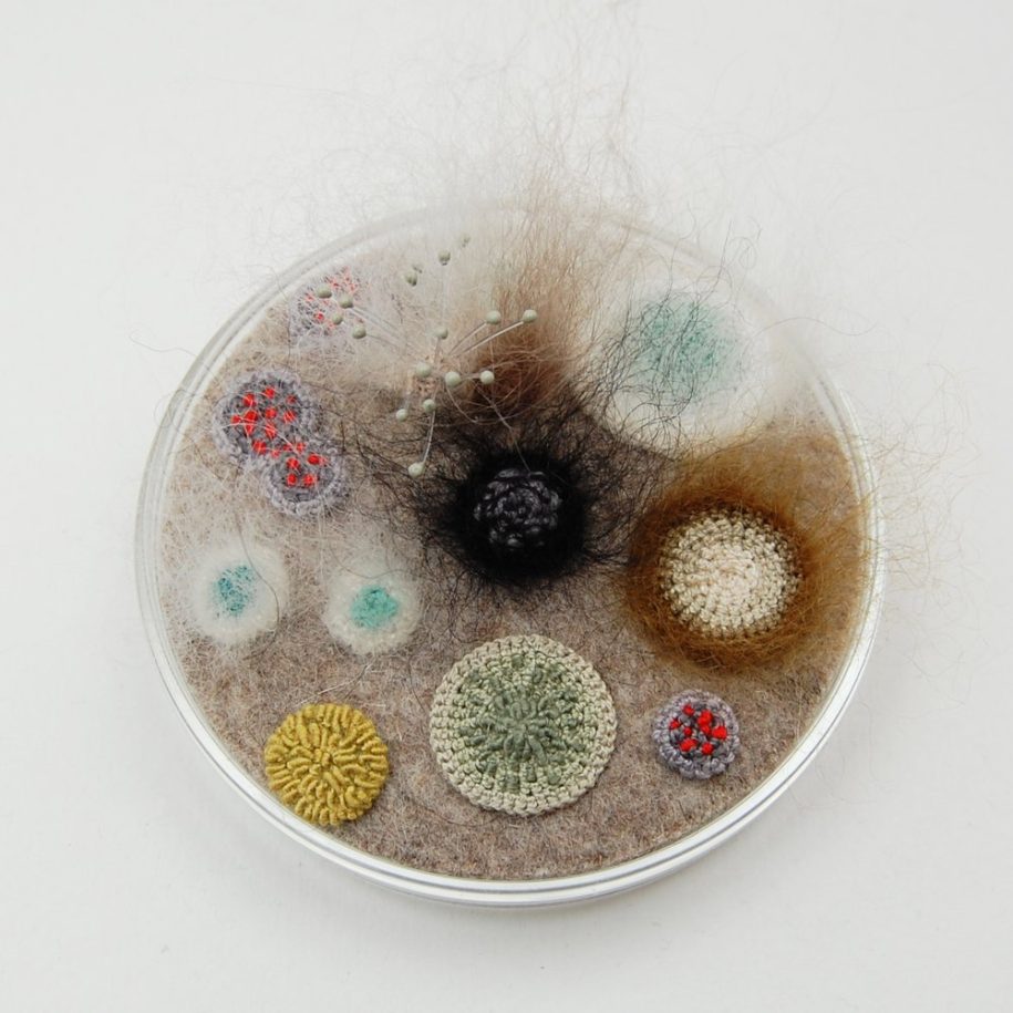 Artist Turns Mold And Bacteria Inspiration Into Unique Art Pieces Worth ...