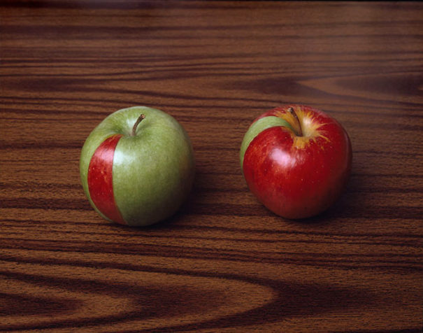 Photographer Puts Everyday Objects In Unusual Places, And It Looks ...