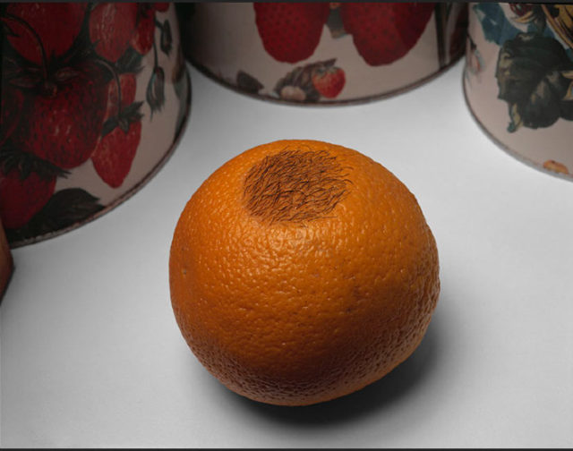 Photographer Puts Everyday Objects In Unusual Places, And It Looks ...