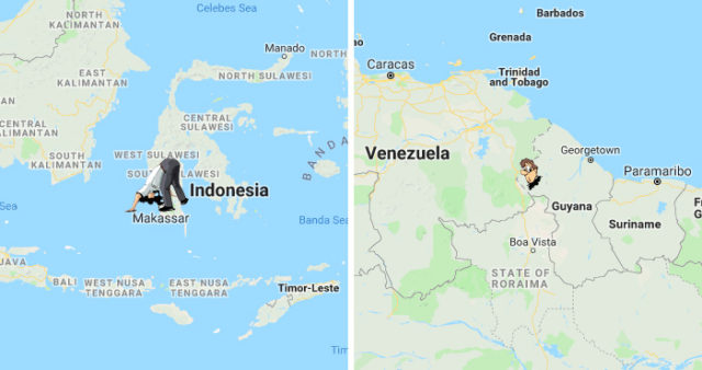 This Map Shows Where Would You End Up If You Dug Straight Through The ...