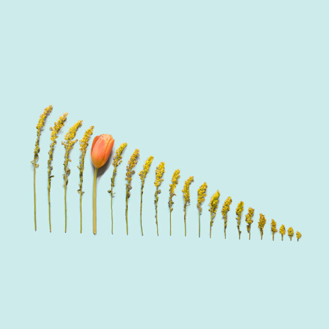 Artist Arranges Everyday Objects To Make Perfect Art Pieces | DeMilked